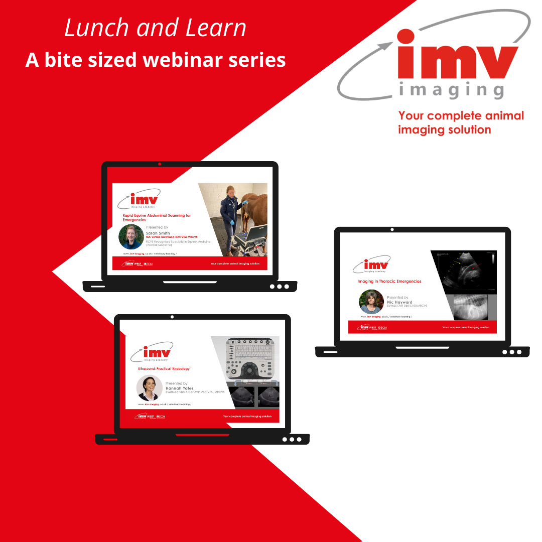 Lunch and Learn Webinar Series